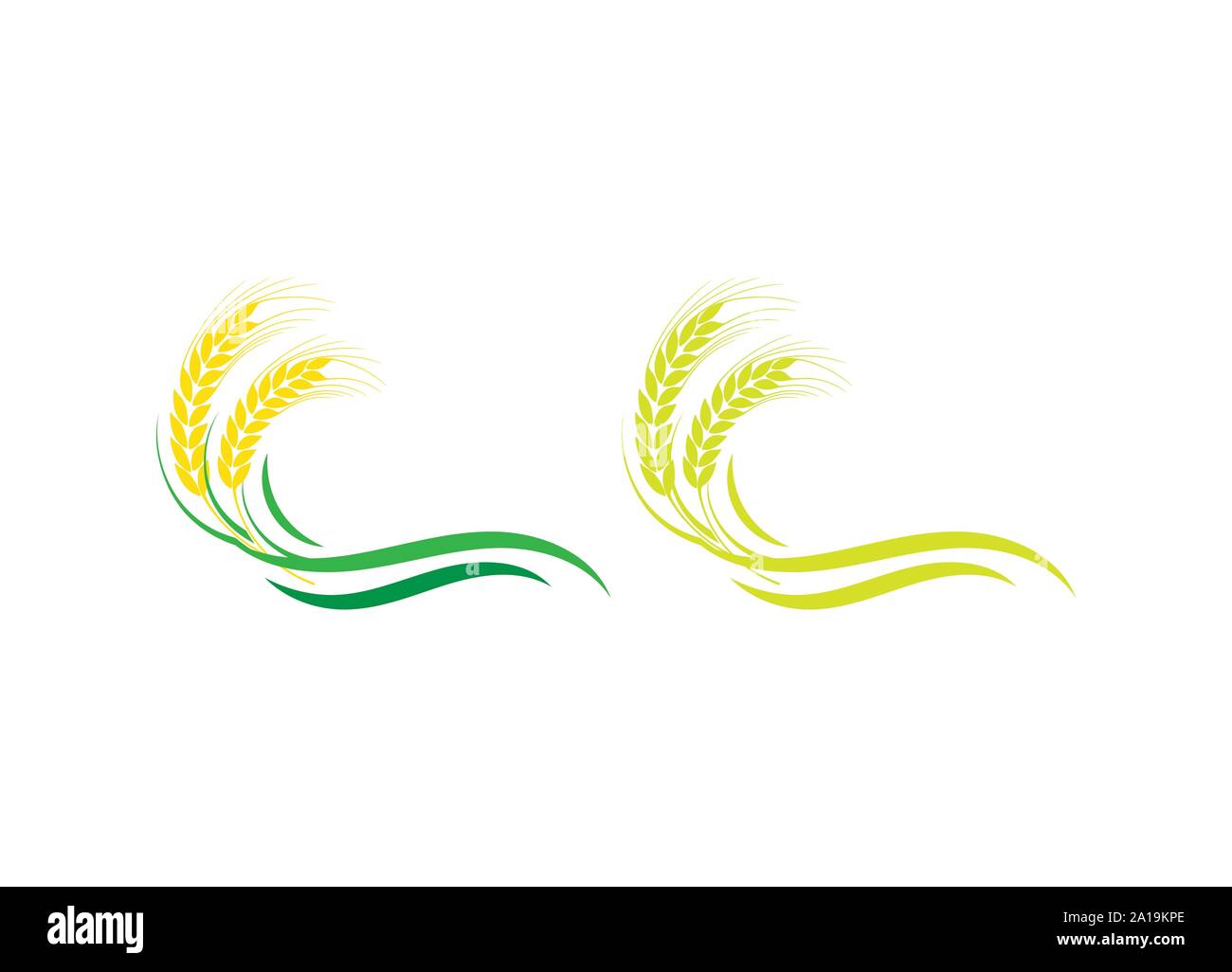 Agriculture wheat Logo Template vector icon design, Ears of Wheat ...