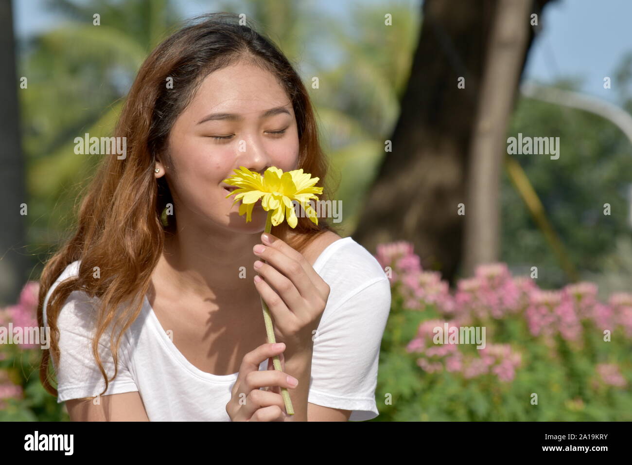 Asian woman smelling flowers hi-res stock photography and images - Alamy