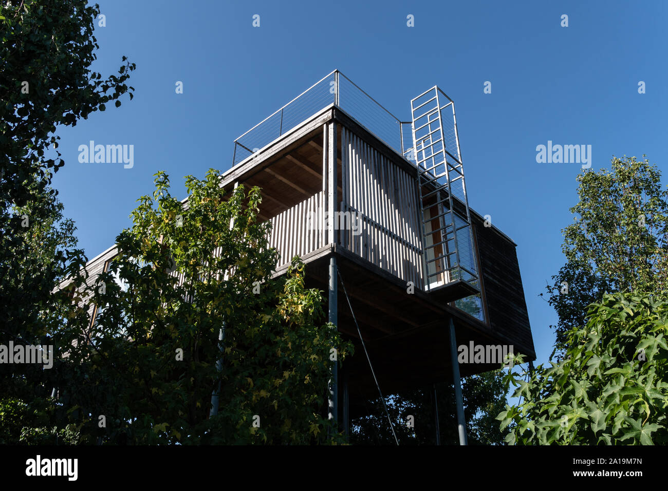 Modern wood cabin facade detail. Elevated house like a tree house Stock ...