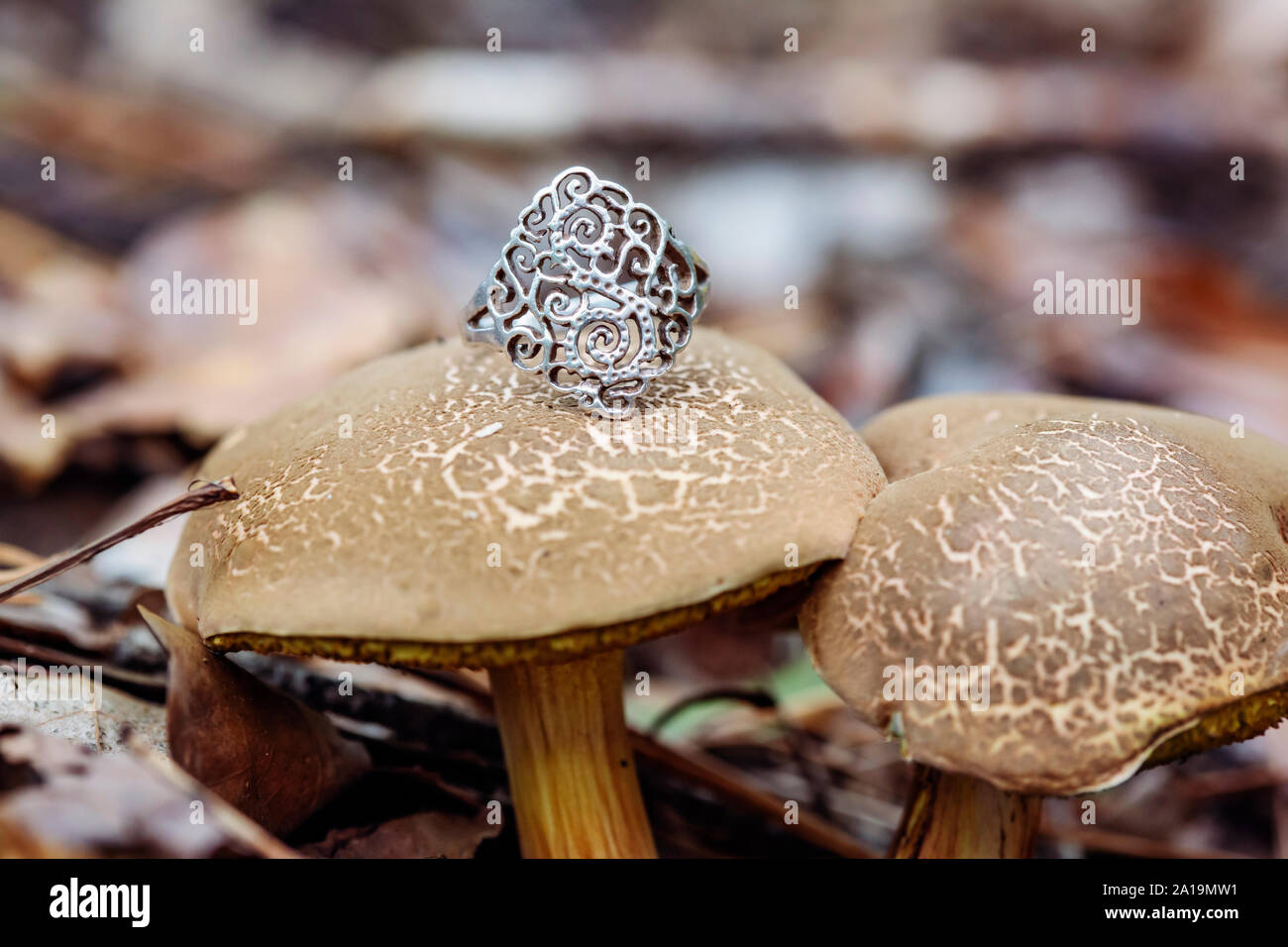 Sacred mushroom hi-res stock photography and images - Alamy