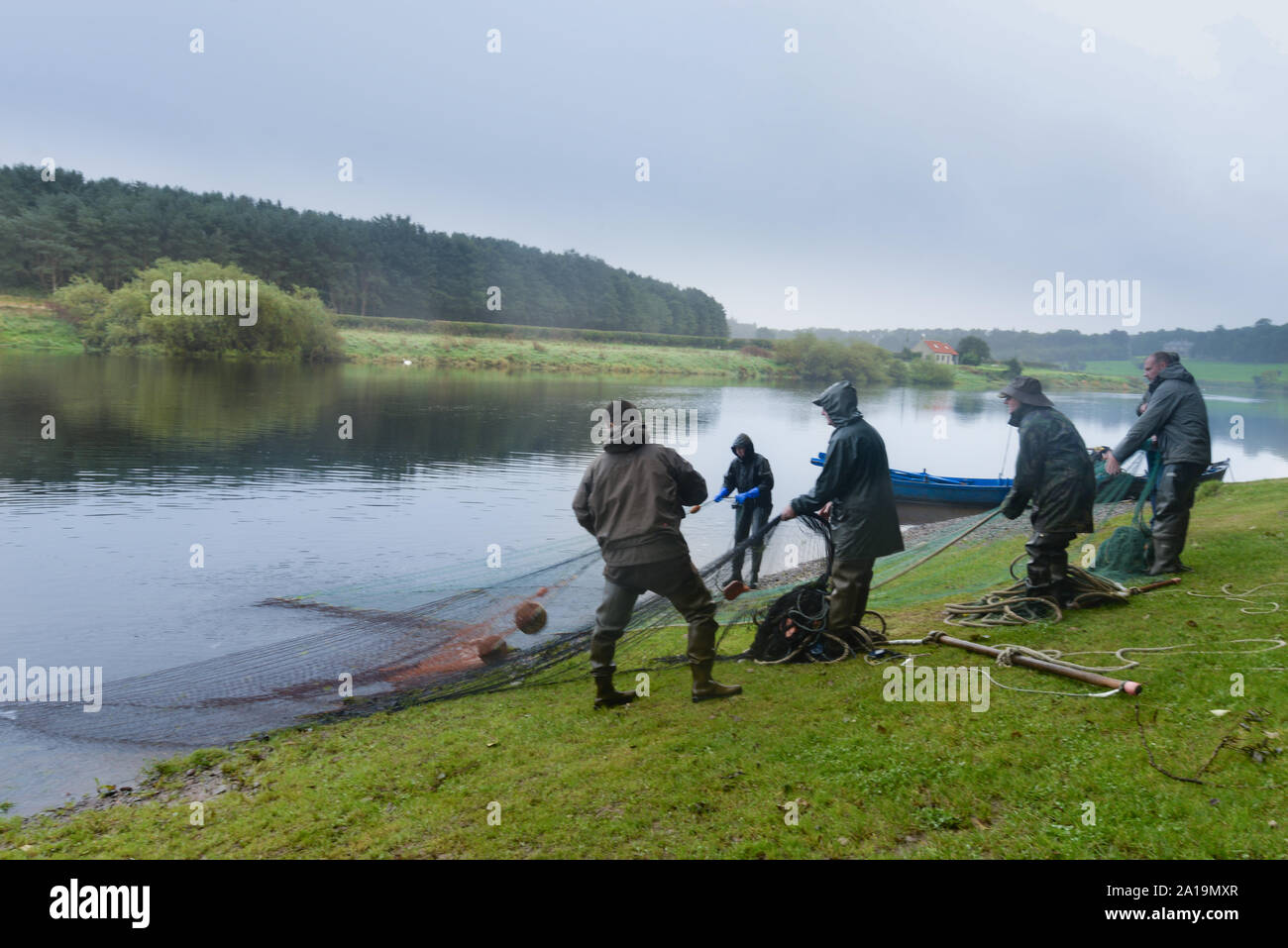 River Tweed traditional net fishermen fishing at Paxton House on the ...