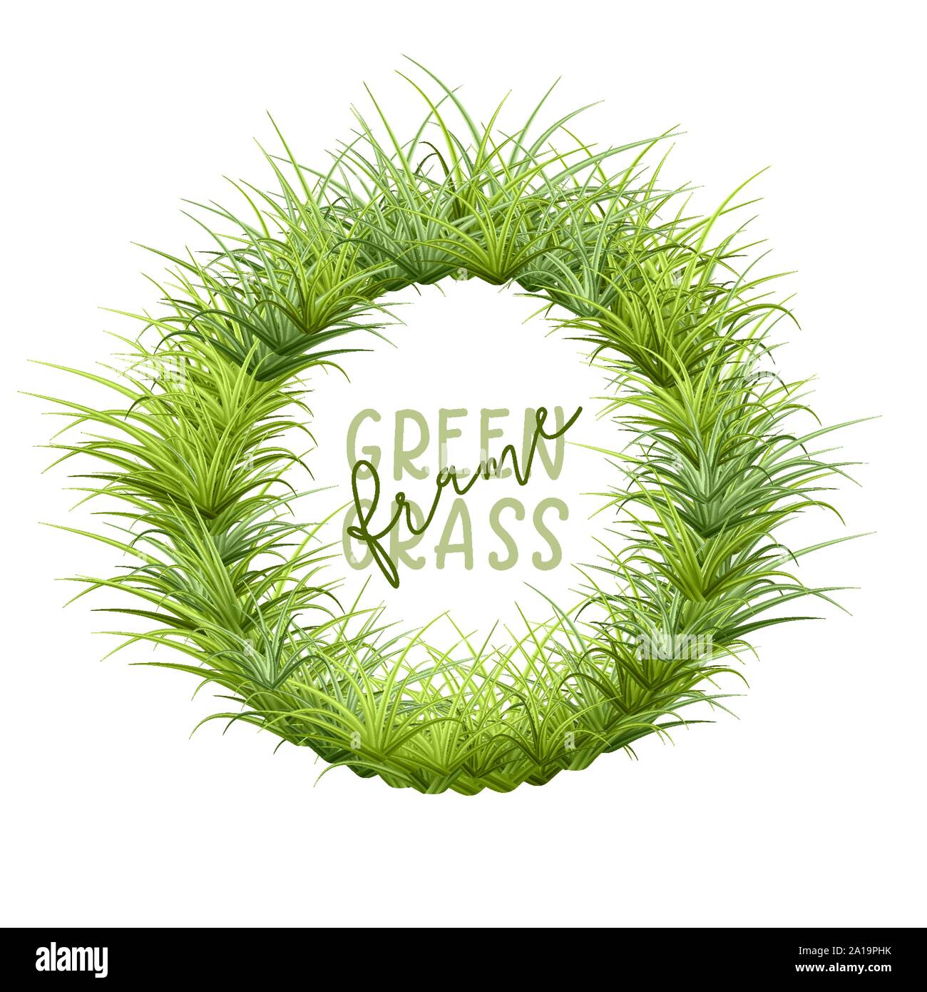 Vector Grass Frame Stock Vector Image & Art - Alamy