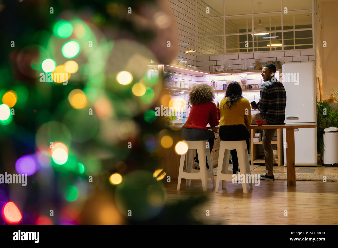Friends celebrating christmas together hi-res stock photography and ...