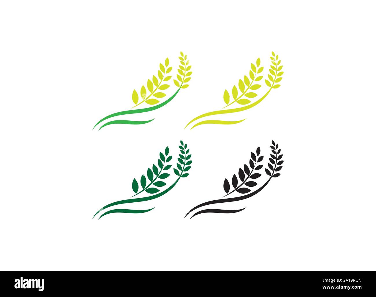 Agriculture wheat Logo Template vector icon design, Ears of Wheat ...