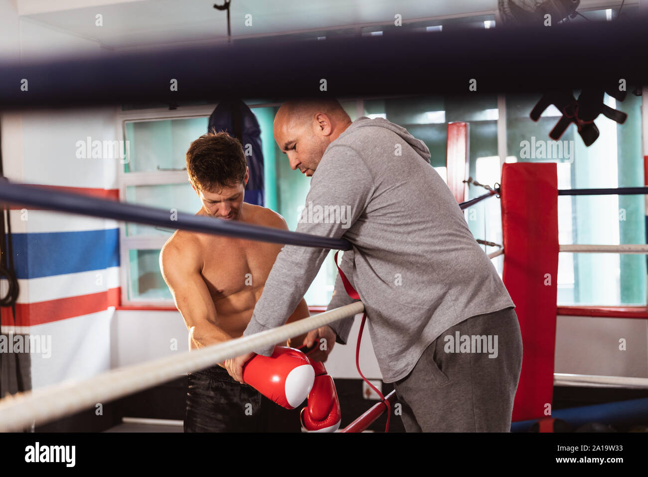 Boxer working trainer hi-res stock photography and images - Alamy