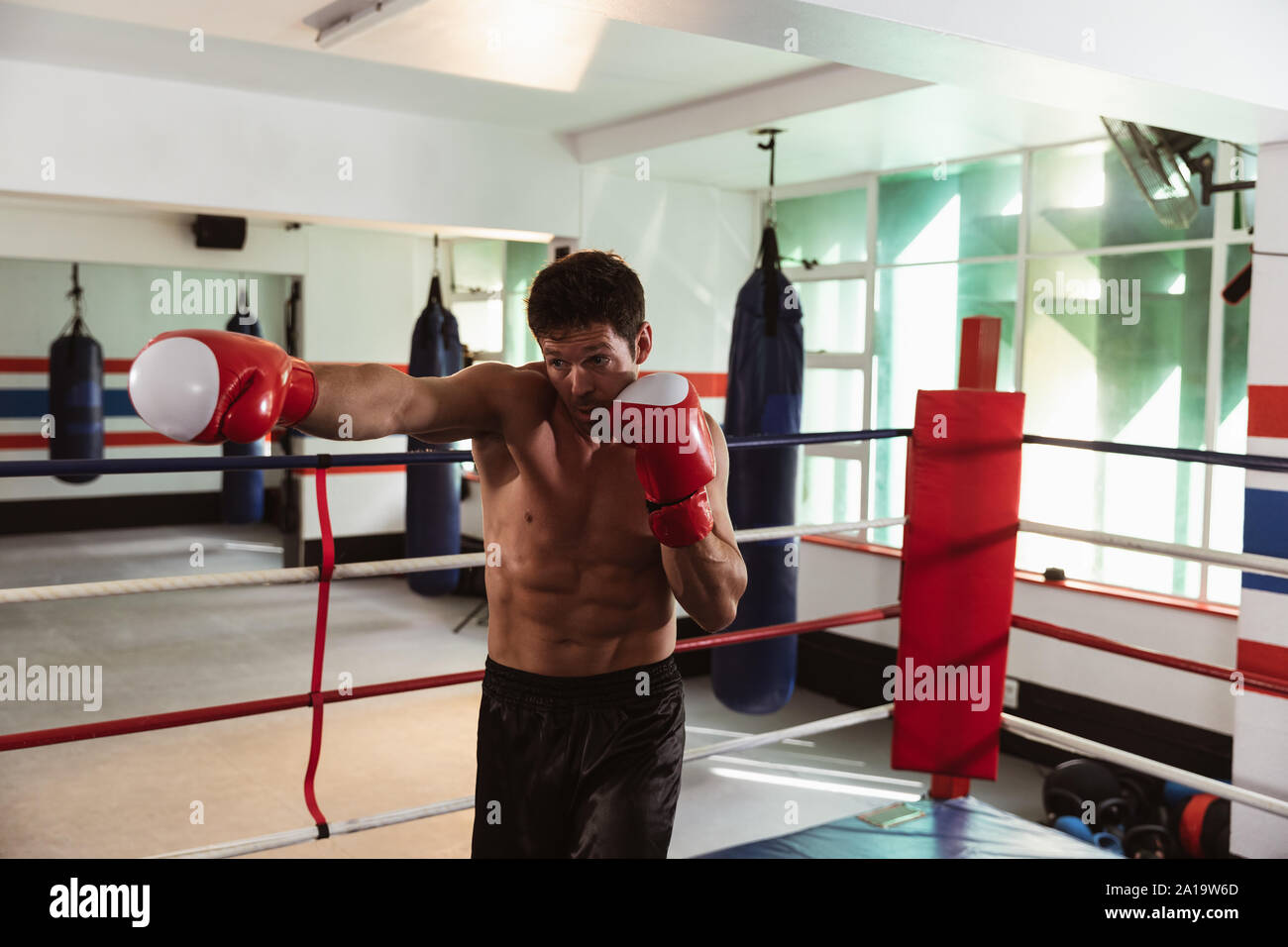 Male boxer in a boxing gym Stock Photo - Alamy