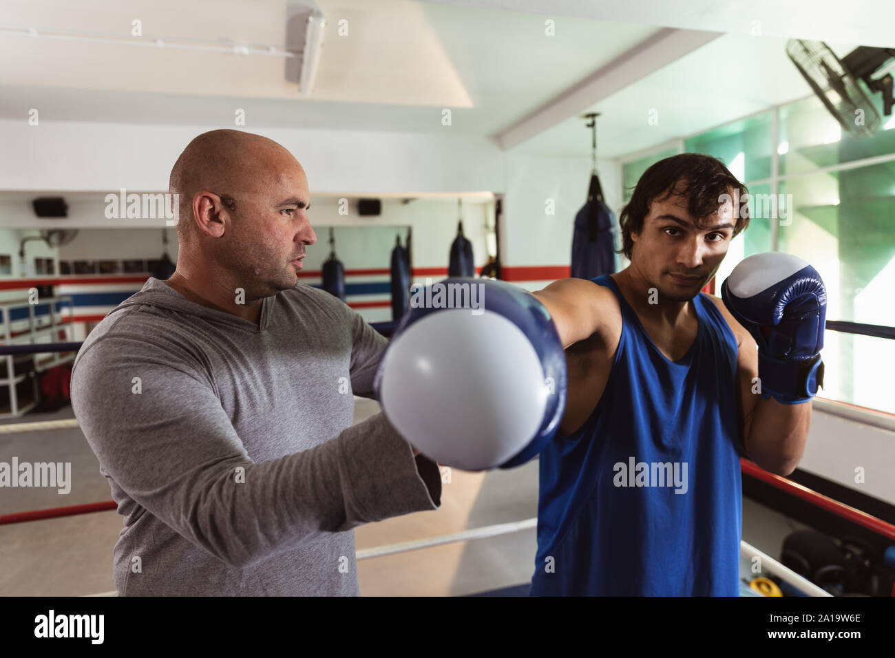 Male gym training hi-res stock photography and images - Alamy