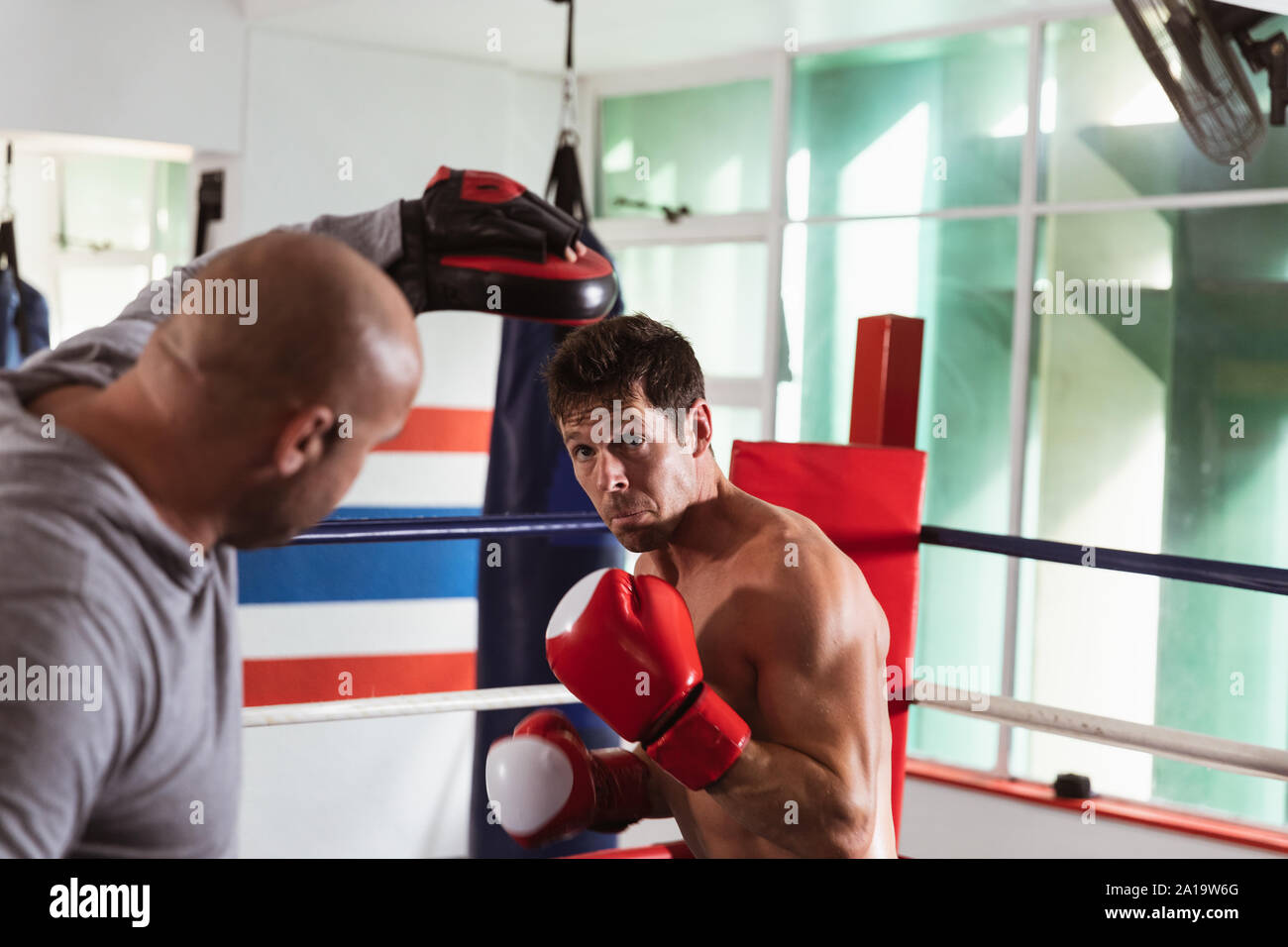 Male boxer in a boxing ring Stock Photo - Alamy