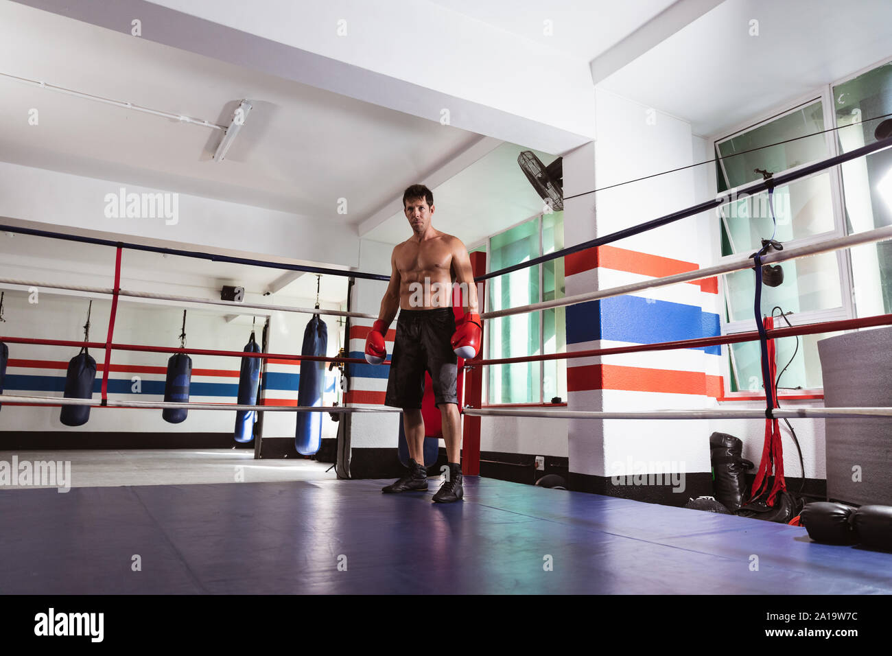 Male boxer in a boxing ring Stock Photo - Alamy