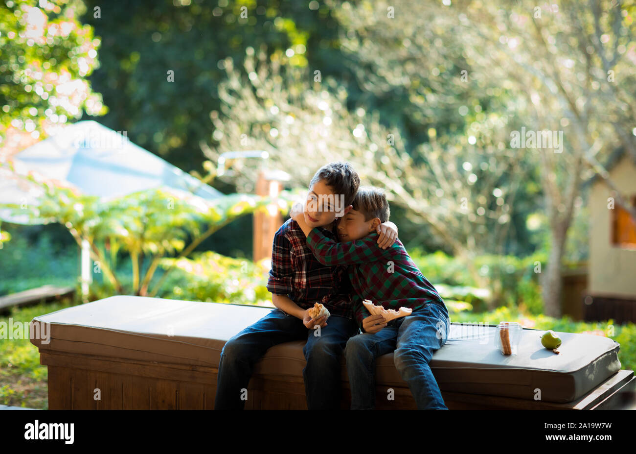 Brothers enjoying time together at home Stock Photo - Alamy
