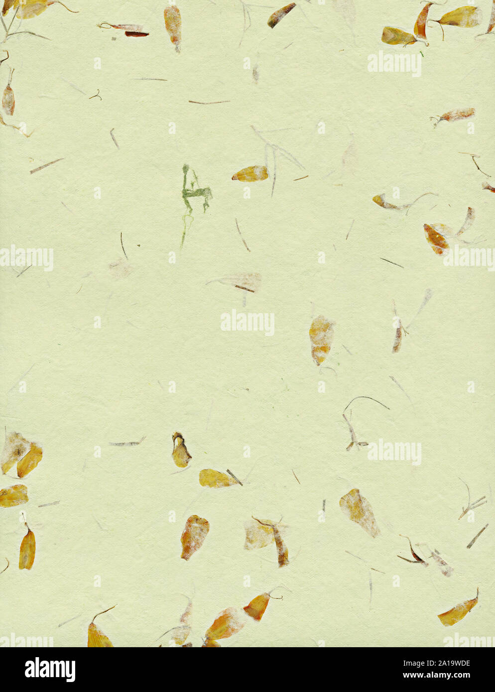 Handmade paper flowers hi-res stock photography and images - Alamy