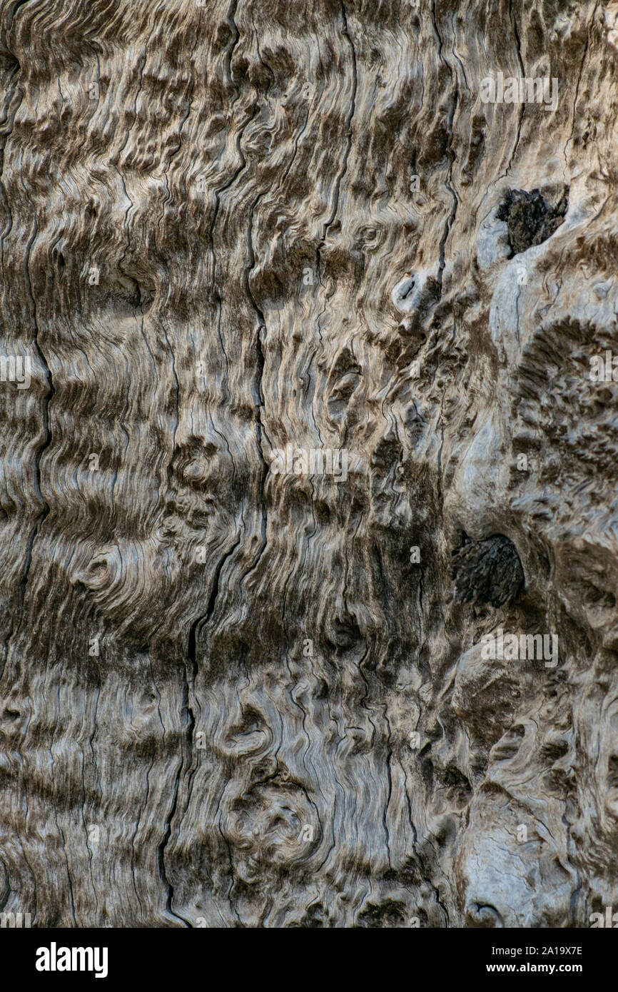 Sheen texture hi-res stock photography and images - Alamy