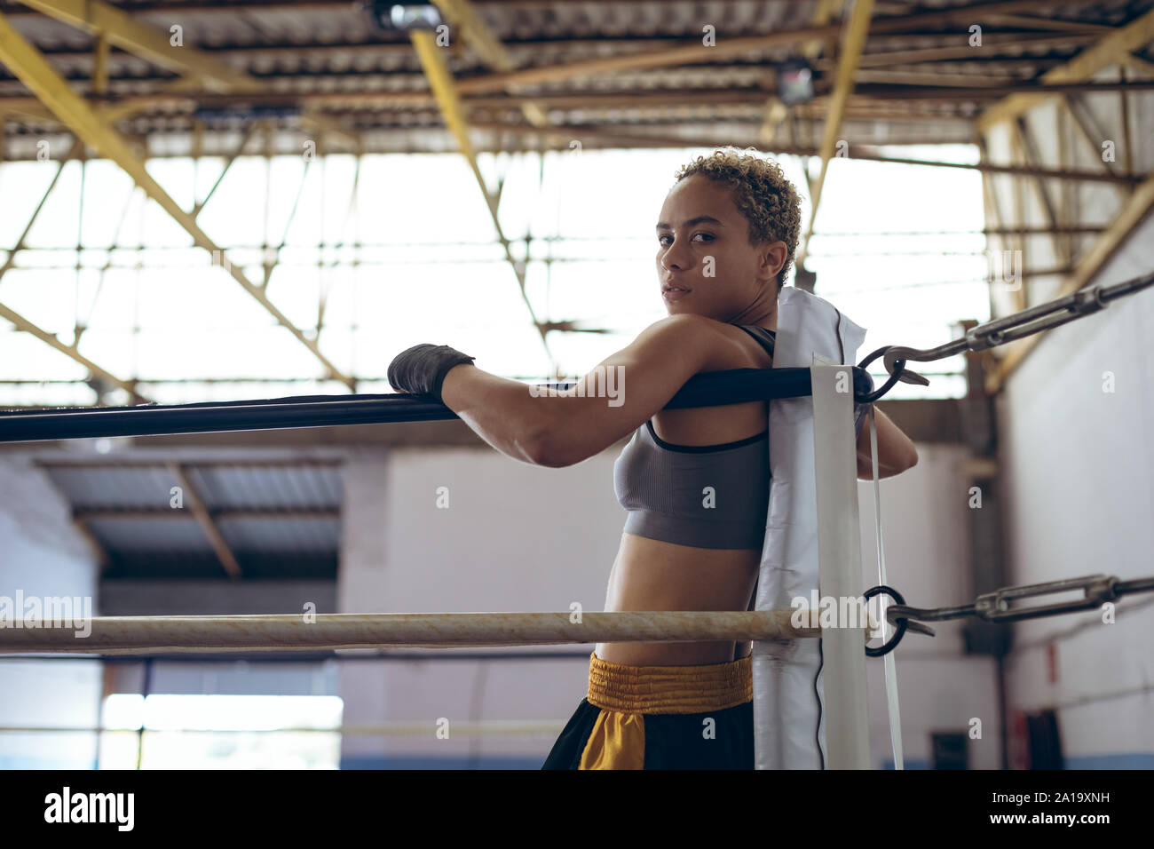 Female boxer leaning on ropes and looking at camera in boxing ring at ...