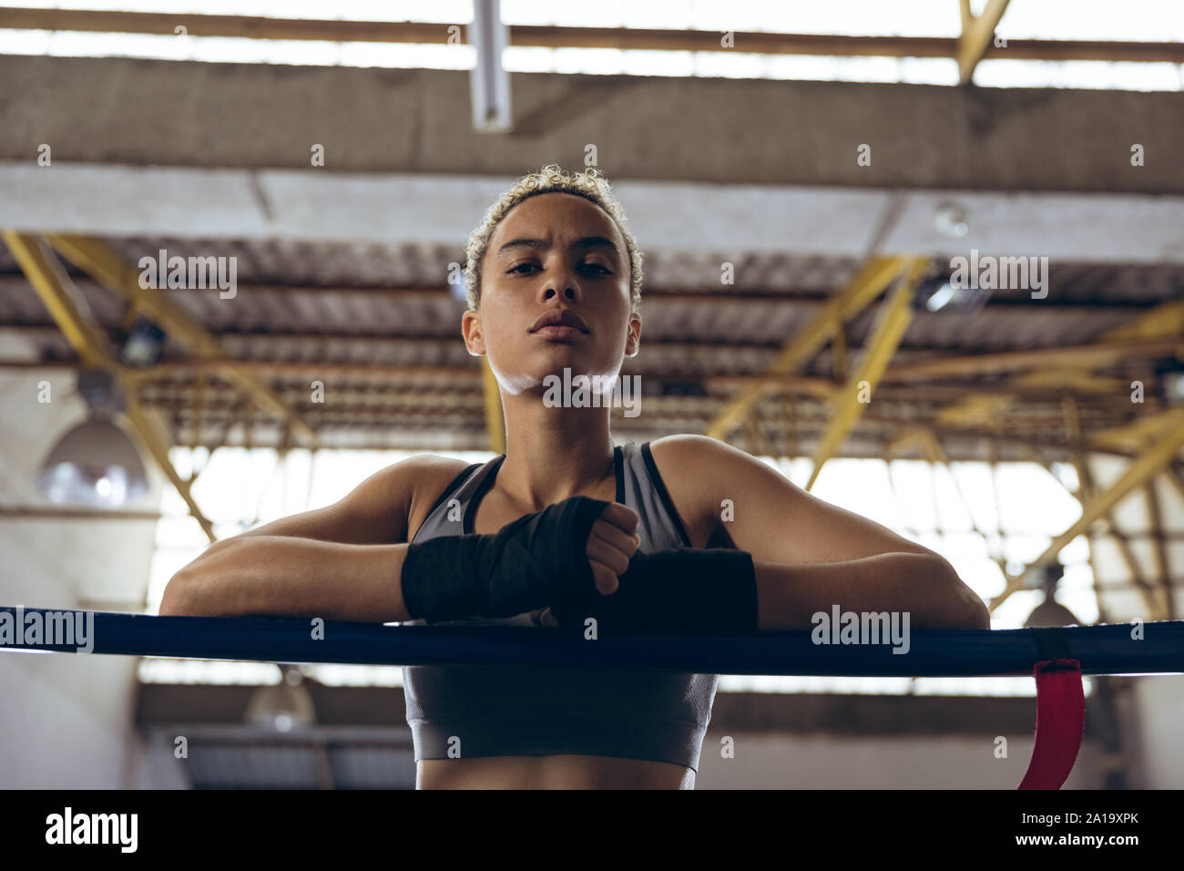 Boxer standing on ring ropes hi-res stock photography and images - Alamy