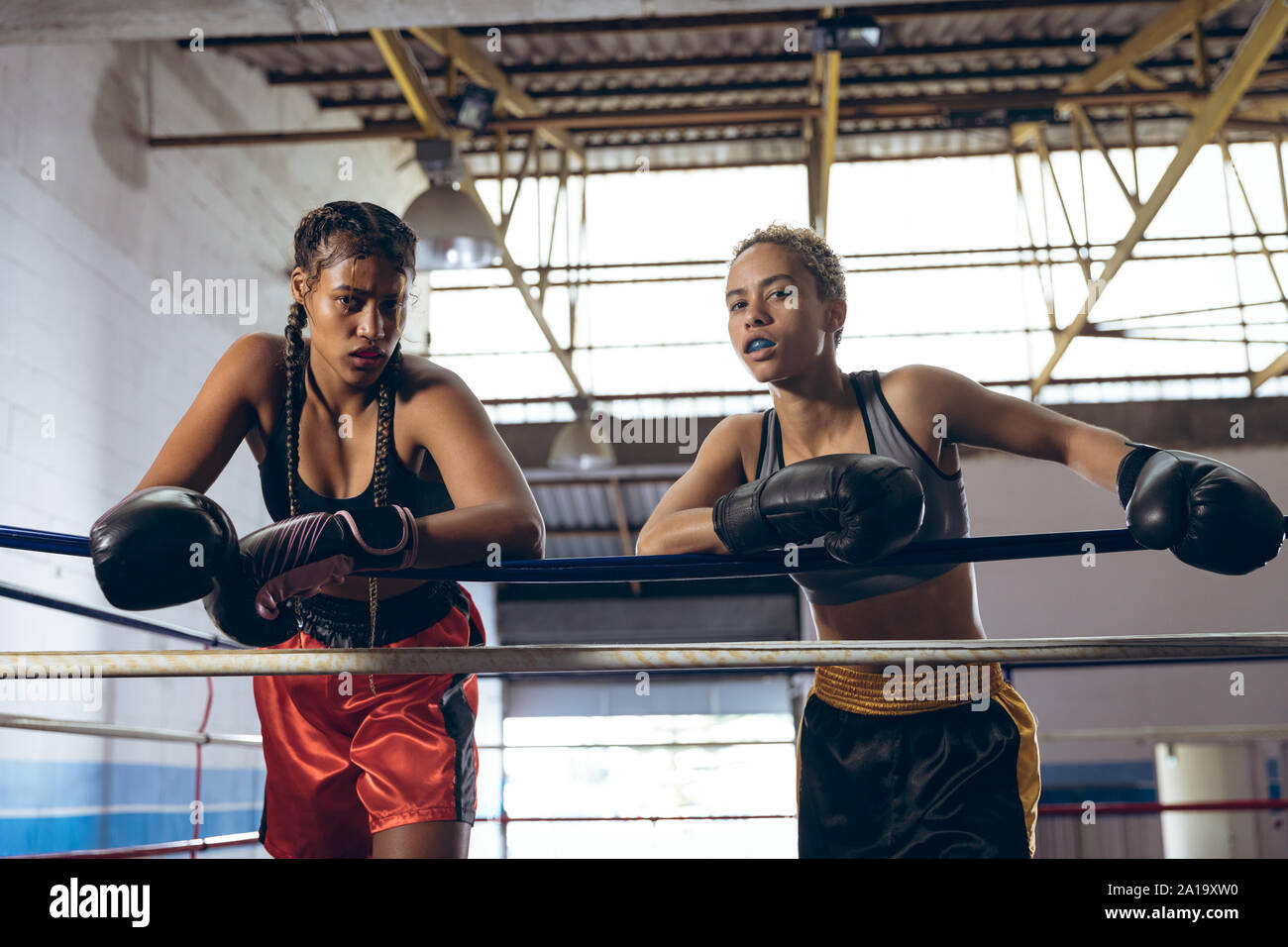 Female boxers leaning on ropes and looking at camera in boxing ring at ...