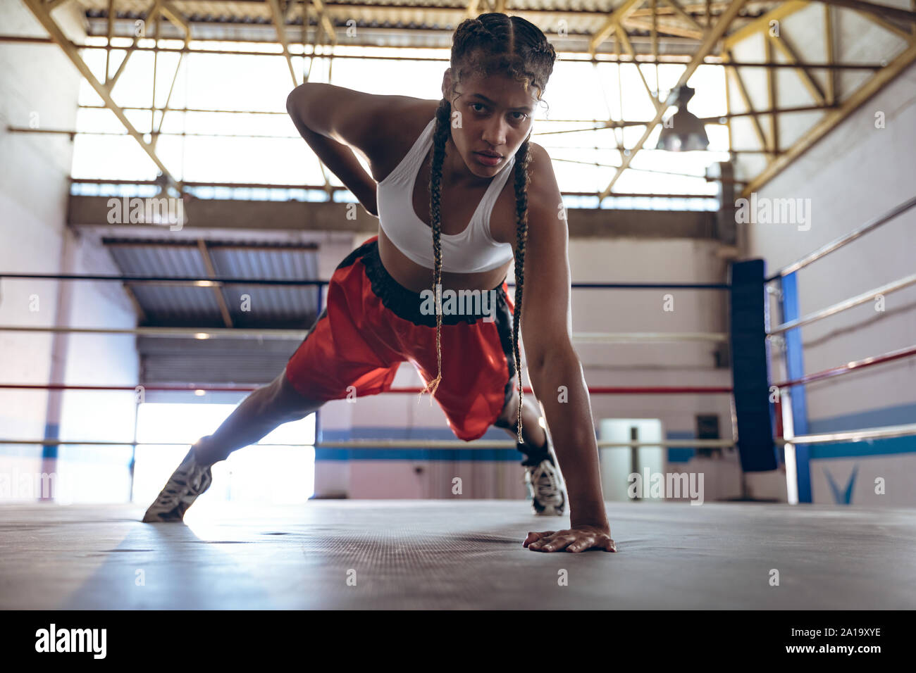 Female boxer looking at camera while exercising in boxing ring Stock ...