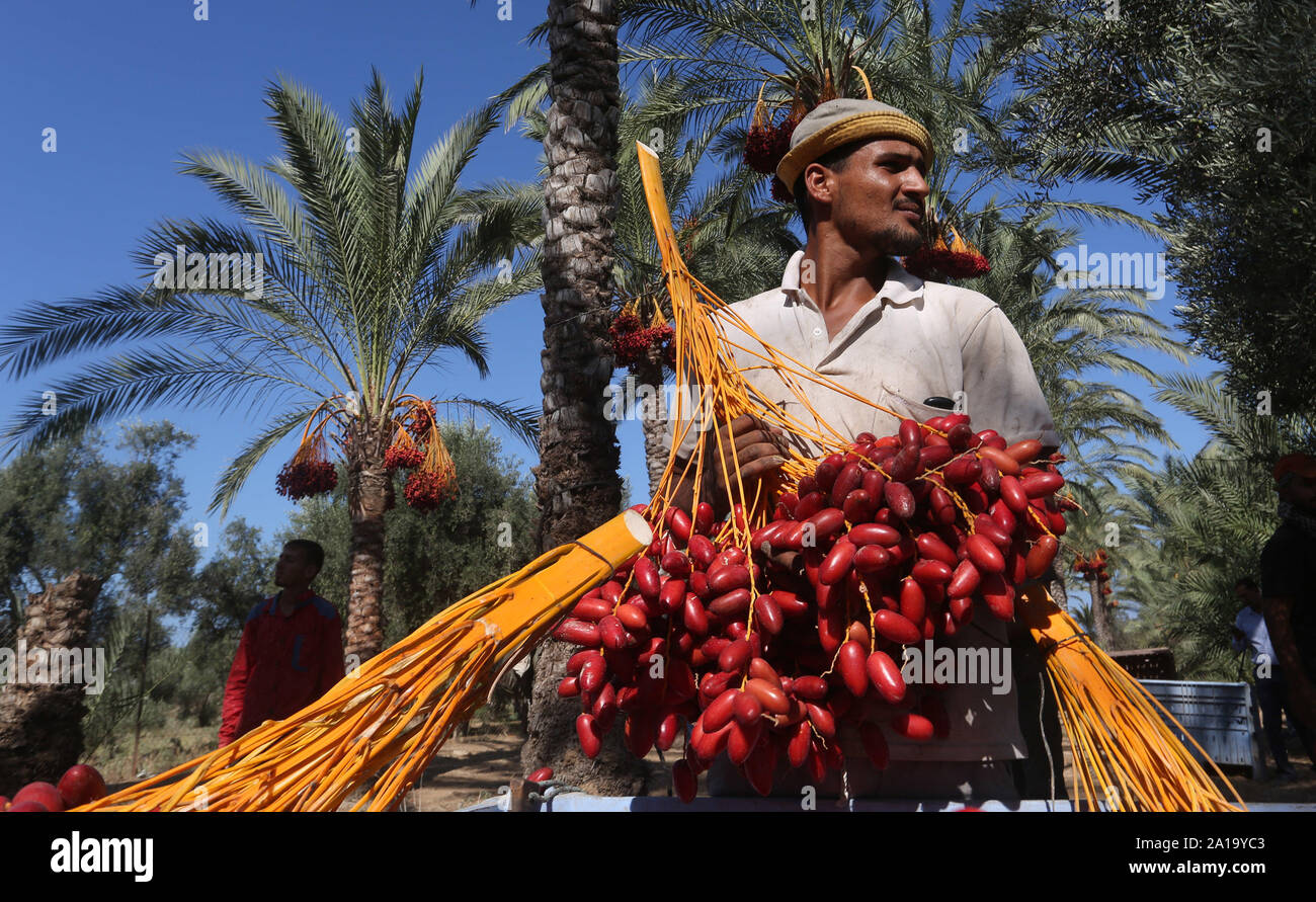 Arabic translation hi-res stock photography and images - Alamy
