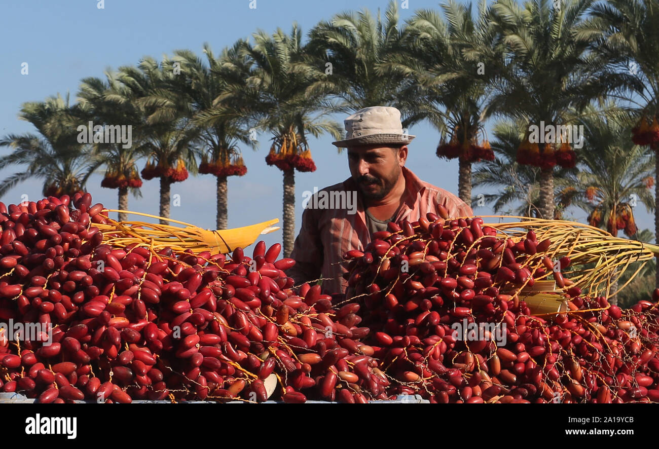 Dair balah hi-res stock photography and images - Alamy