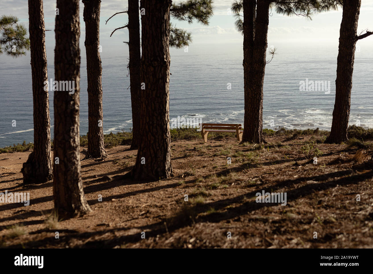 Coastline with forest hi-res stock photography and images - Alamy