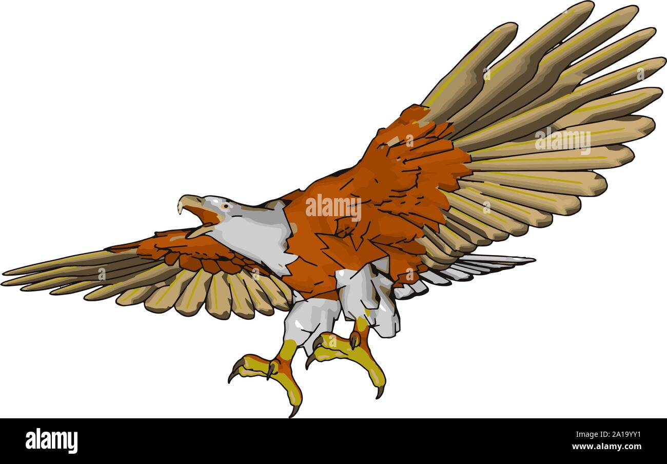 Flying eagle, illustration, vector on white background Stock Vector ...