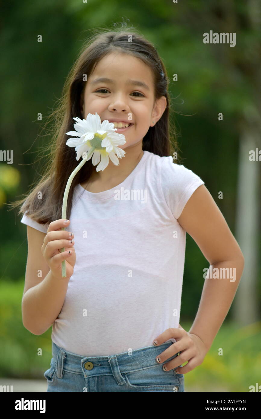 Petite and pretty flowers hi-res stock photography and images - Alamy Petite and pretty flowers hi-res stock photography and images - Alamy