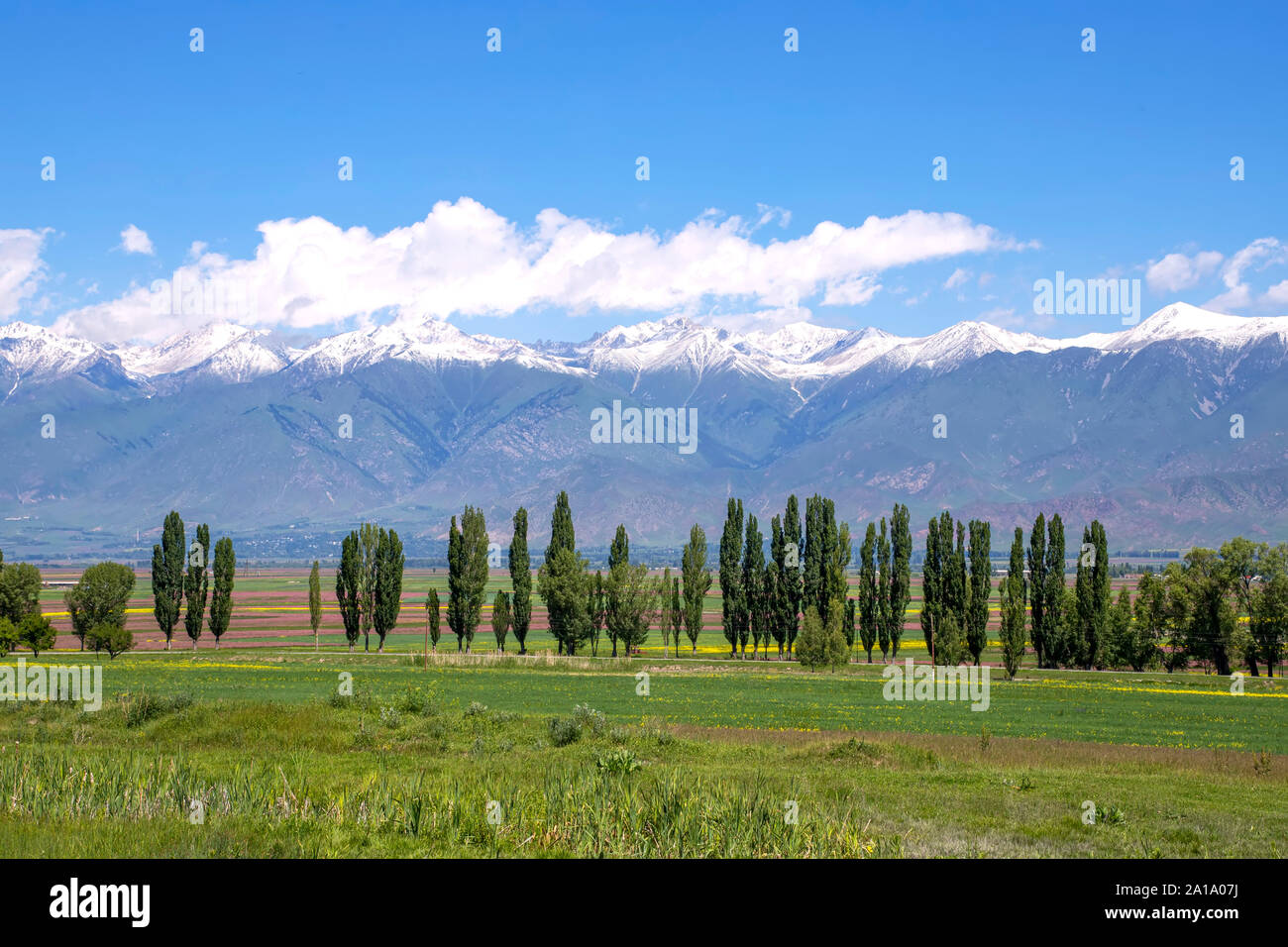Agricultural fields with trees hi-res stock photography and images - Alamy