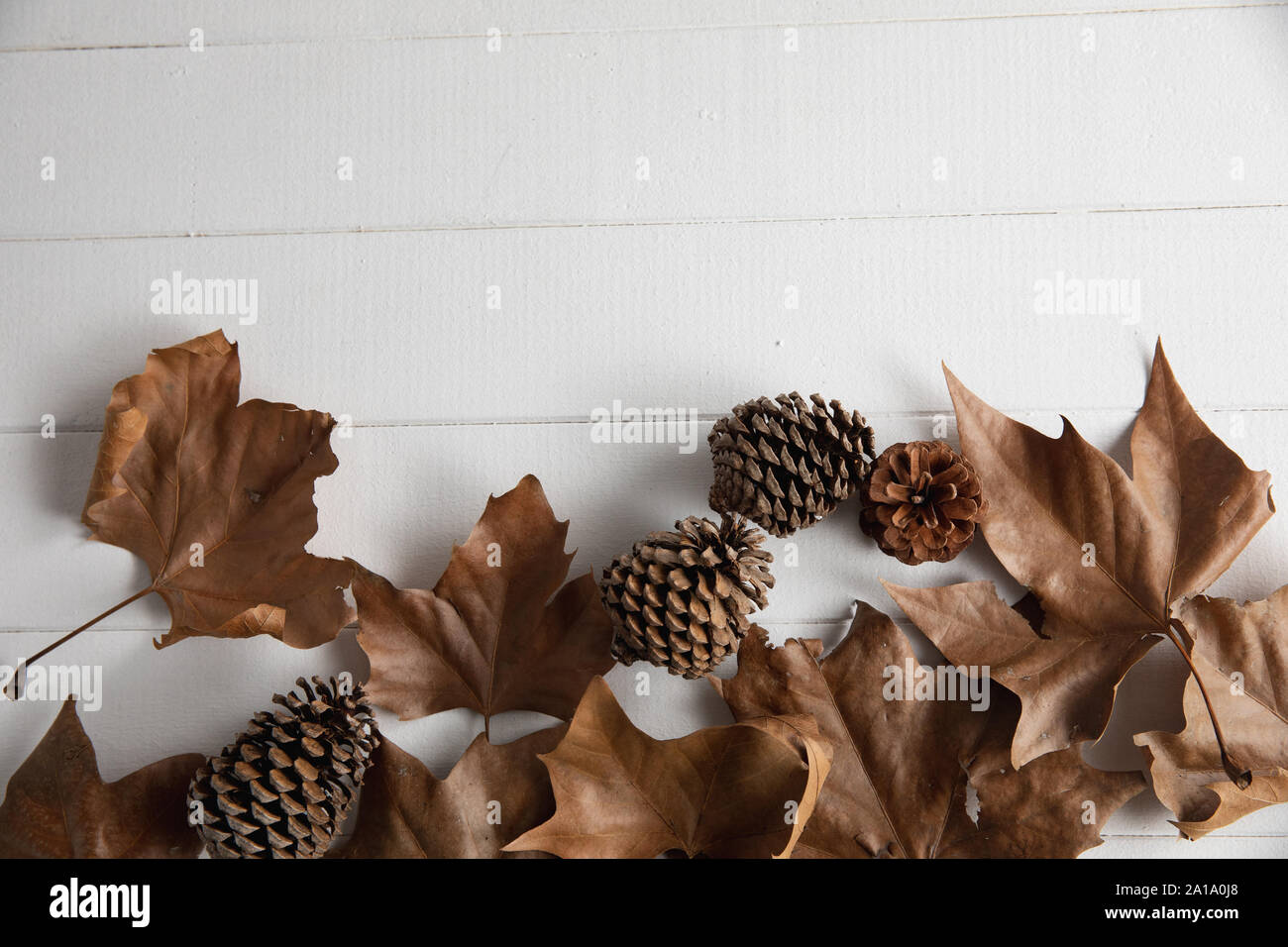 Flat lay of leaves hi-res stock photography and images - Alamy