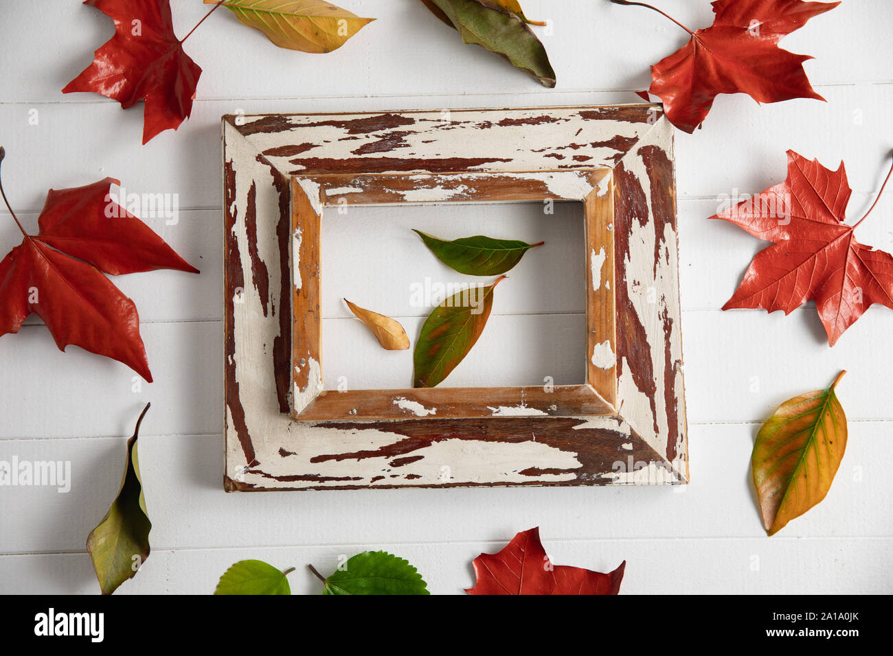 Autumn flat lay with photo frame Stock Photo - Alamy