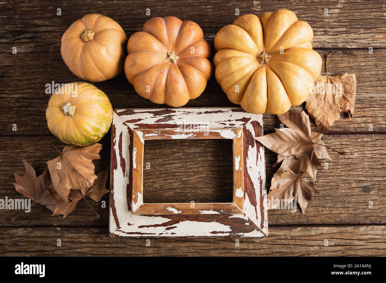 Autumn flat lay with pumpkins Stock Photo - Alamy