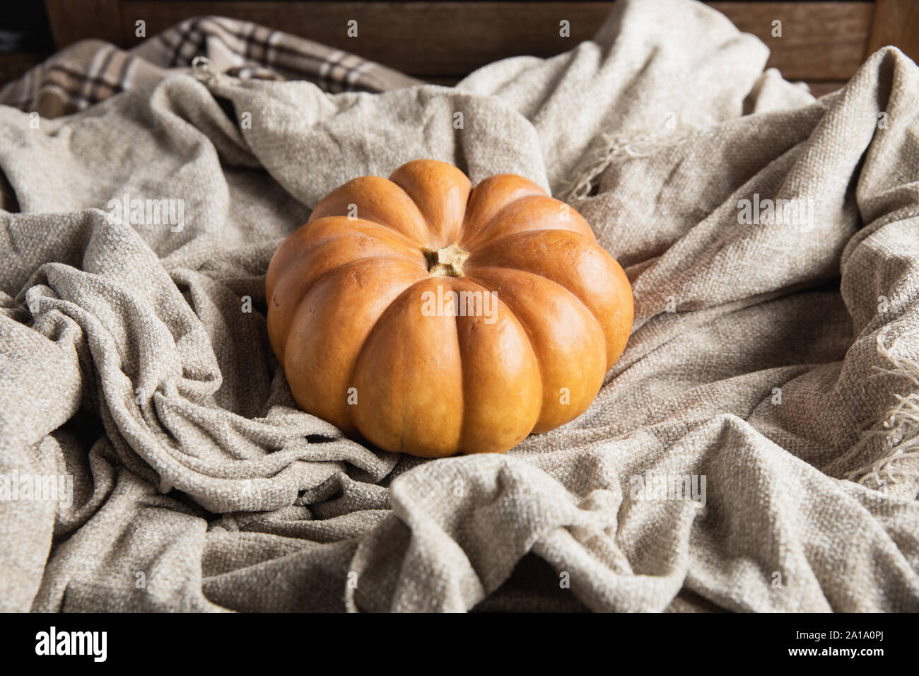 Autumn flat lay with pumpkins Stock Photo - Alamy