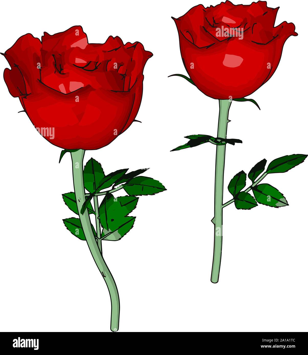 Red rose, illustration, vector on white background Stock Vector Image ...