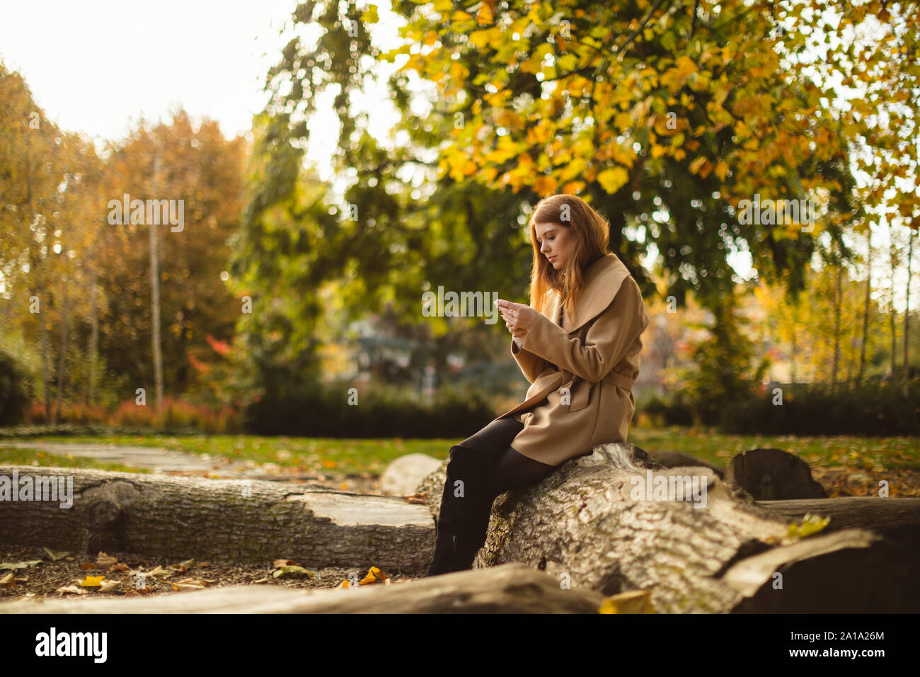 Mobile on the tree hi-res stock photography and images - Alamy
