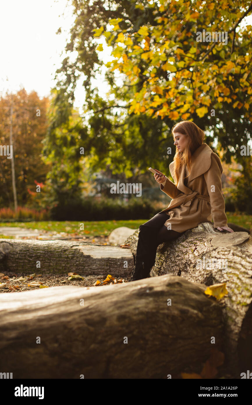 Trunk communication hi-res stock photography and images - Alamy