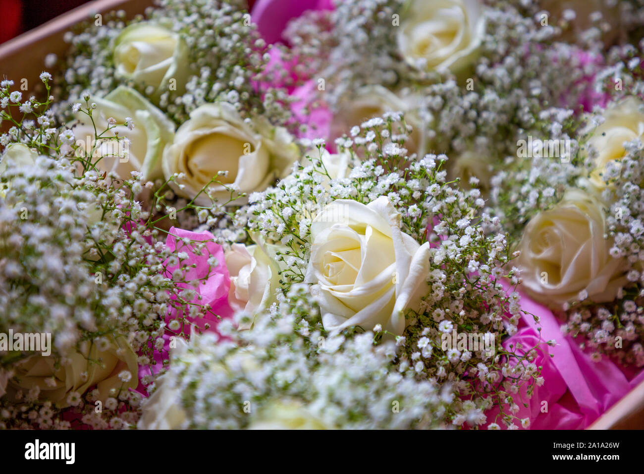 A collection of bouquets made with Roses and Gypsophila Stock Photo - Alamy