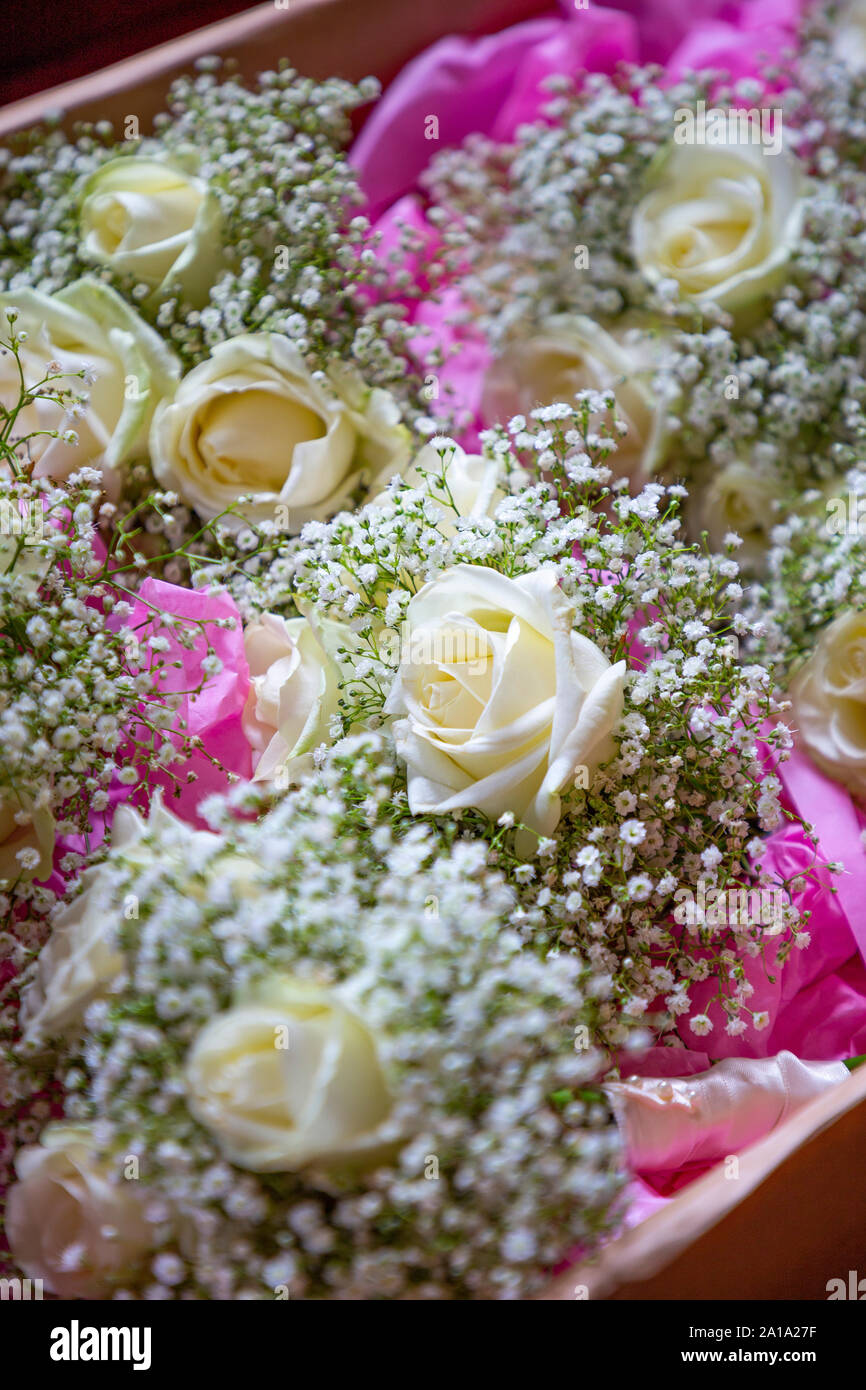 A collection of bouquets made with Roses and Gypsophila Stock Photo - Alamy