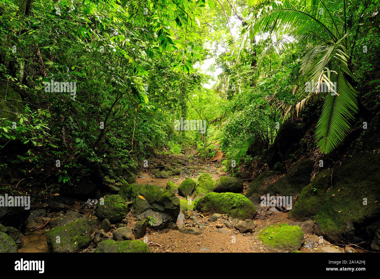 Panama colombia border hi-res stock photography and images - Alamy