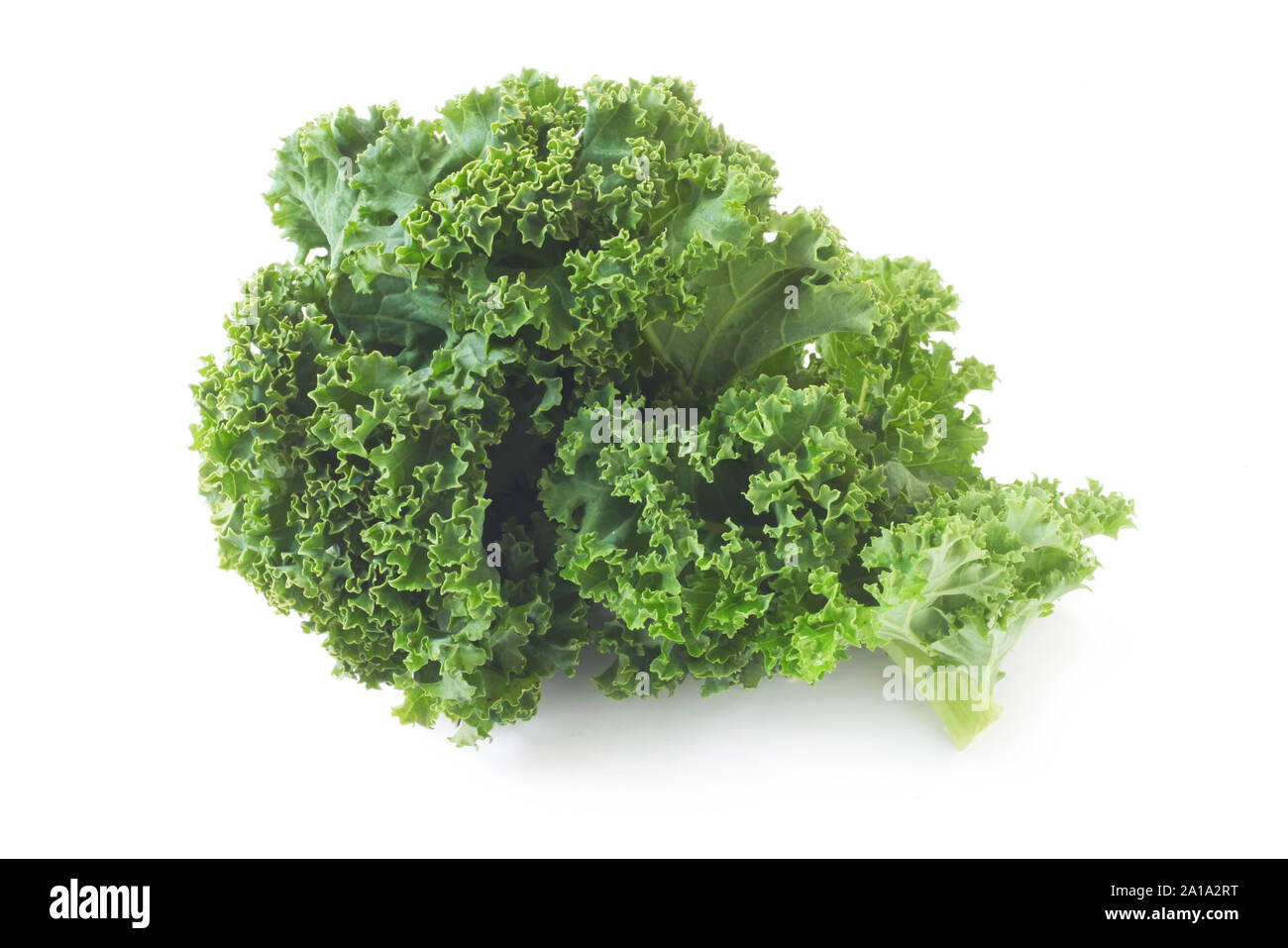 Kale Leaf Isolated On White Stock Photo - Alamy