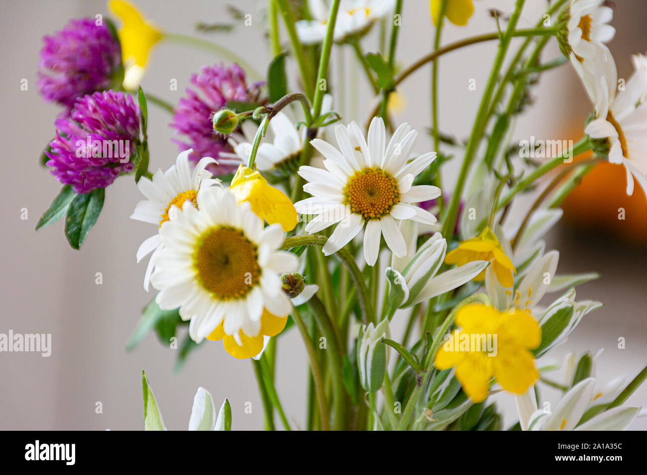Field flower bouquet hi-res stock photography and images - Alamy