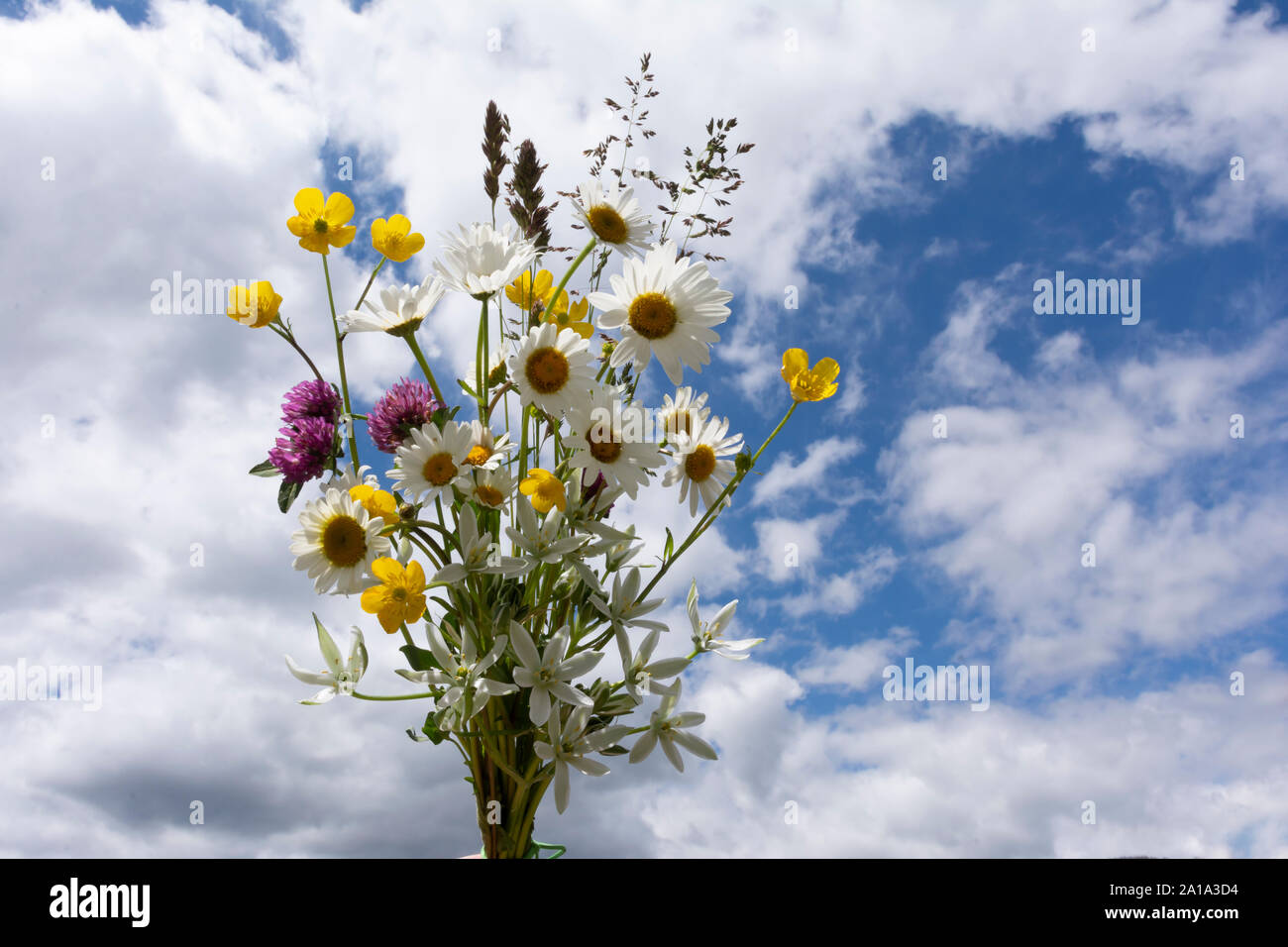 Field flower bouquet hi-res stock photography and images - Alamy