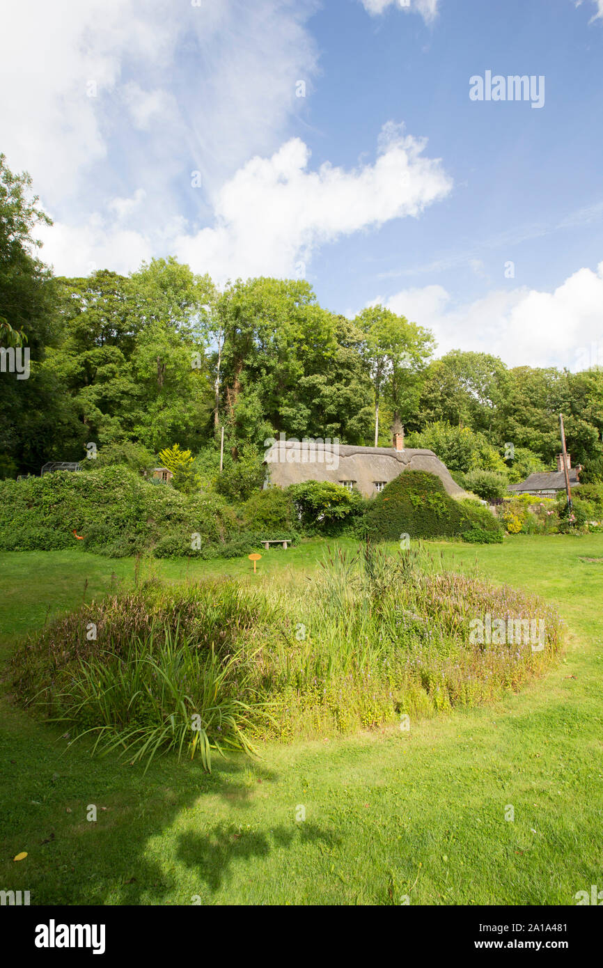 The pond and some houses in the village of Tollard Royal in Wiltshire ...