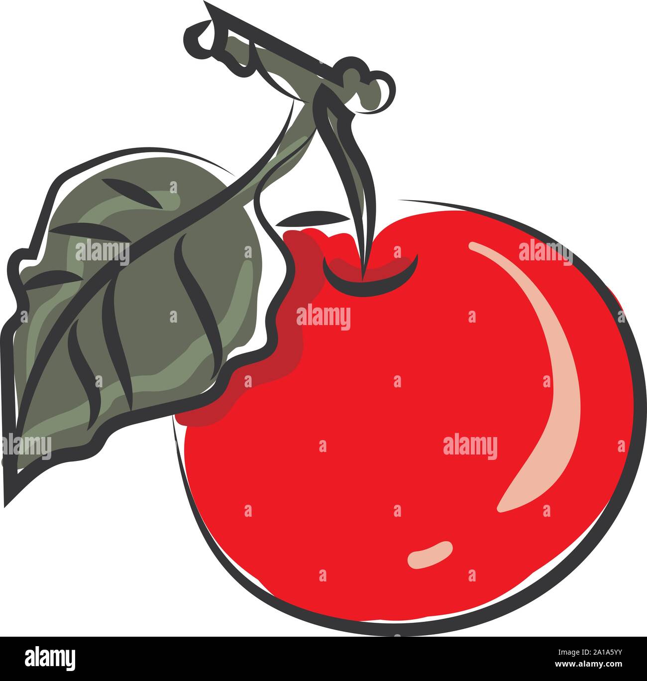 Apple with leaf Stock Vector Images - Alamy