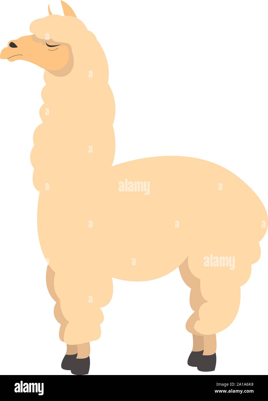 Funny white alpaca on Cut Out Stock Images & Pictures - Alamy