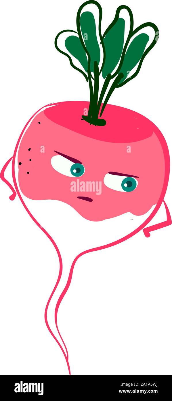 Salad radish cucumber corn Stock Vector Images - Alamy