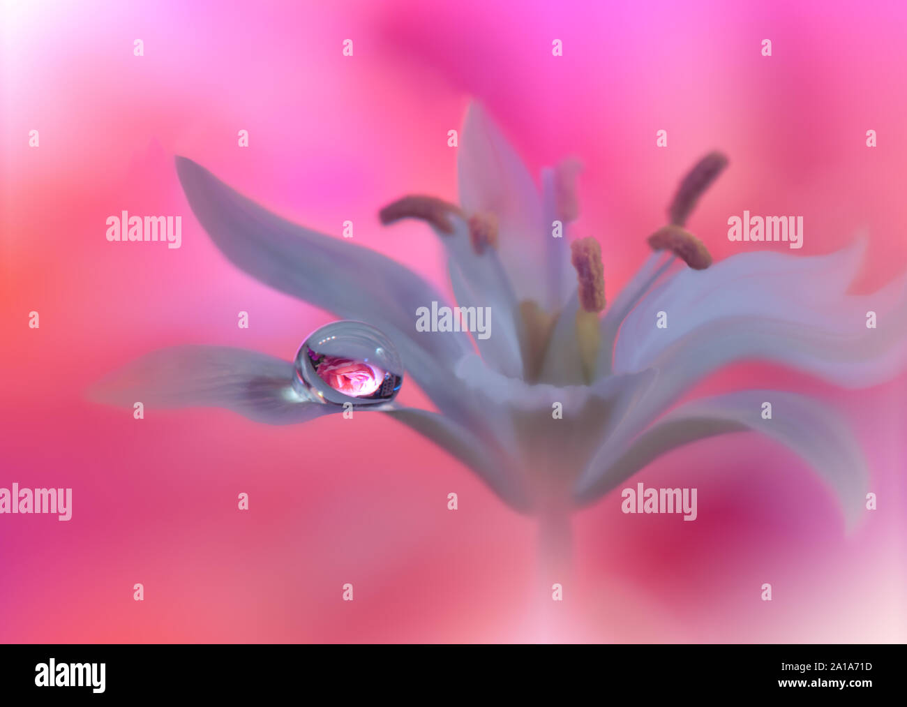 Pure color background hi-res stock photography and images - Alamy