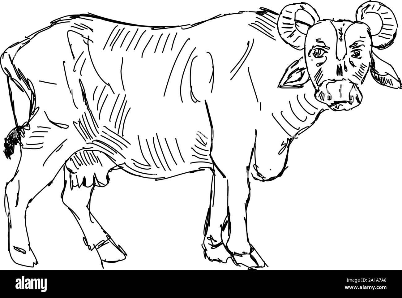 Buffalo drawing hi-res stock photography and images - Alamy