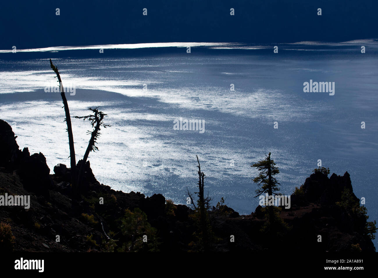 Whitebark pine snag silhouette from Rim Trail, Crater Lake National ...