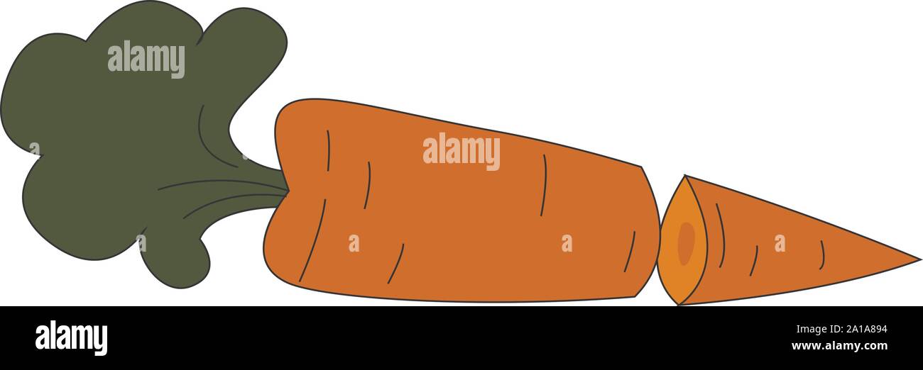 Carrot cut in half, illustration, vector on white background Stock ...
