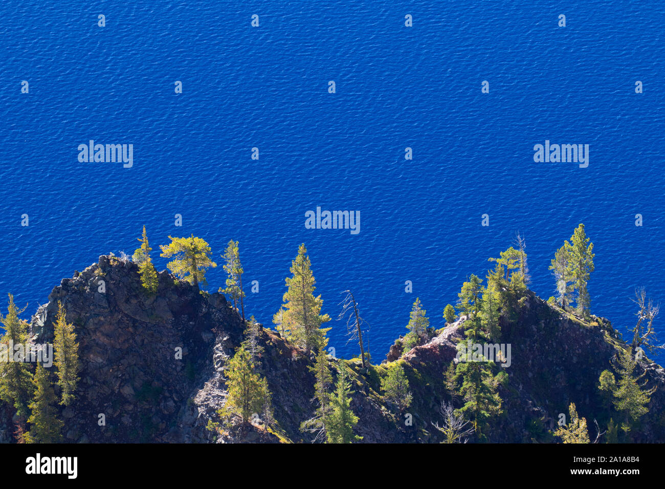 Forest views along Rim Trail, Crater Lake National Park, Volcano Legacy ...