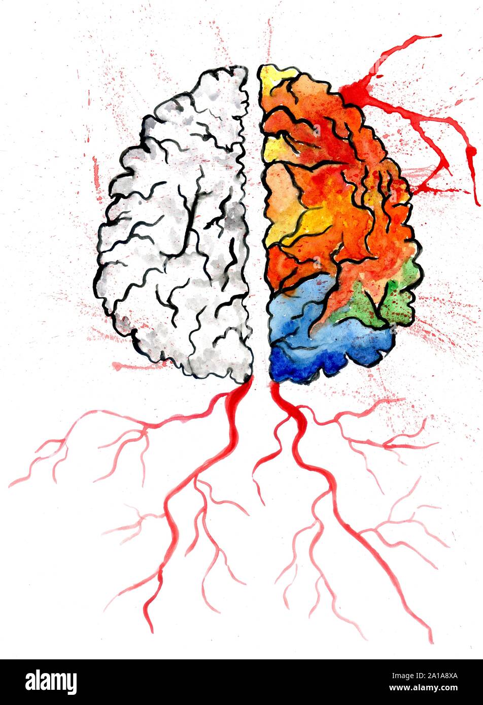 Hand drawn illustration of human brain painted in watercolors Stock ...