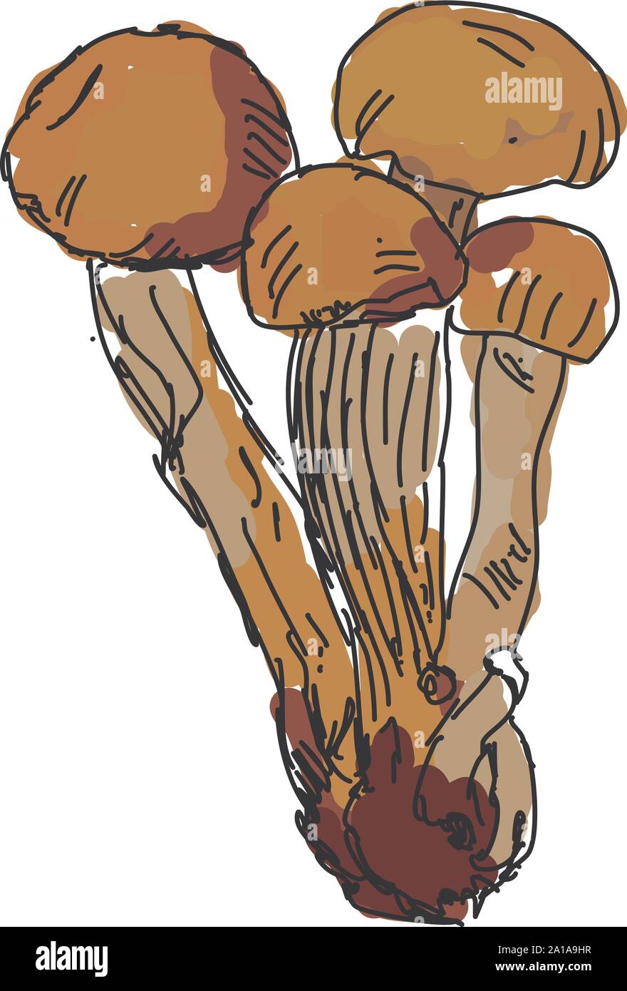 Seamless background design mushrooms Cut Out Stock Images & Pictures ...